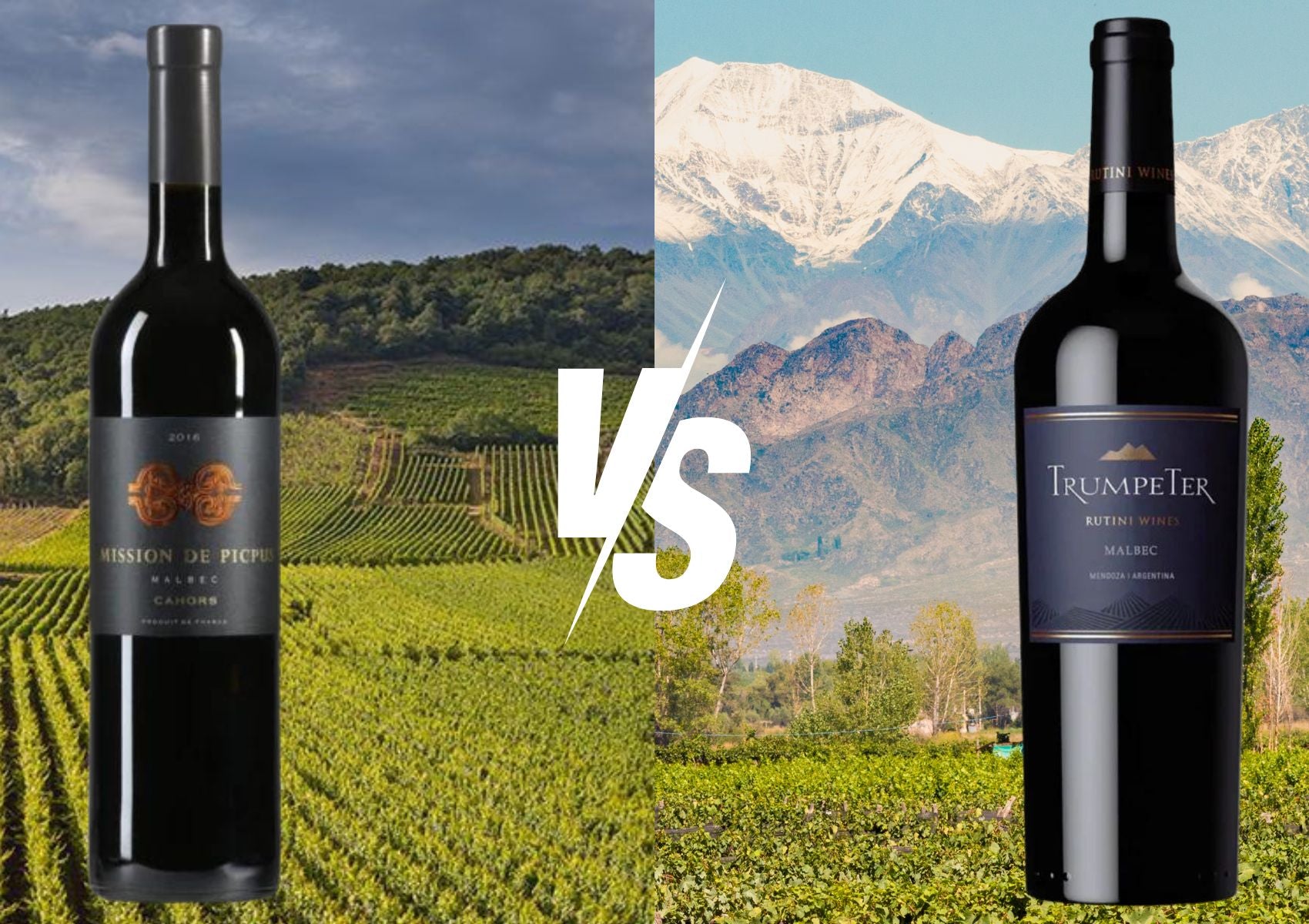 Malbec Showdown: Argentina vs. France – Which Will Win Your Palate ...